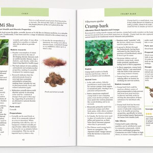 Ancient Remedies Revived by Shanon Greef - Etsy Australia