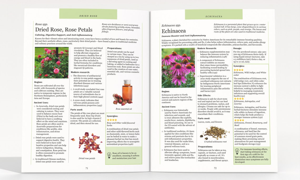 Ancient Remedies Revived by Shanon Greef - Etsy