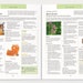 Ancient Remedies Revived by Shanon Greef - Etsy
