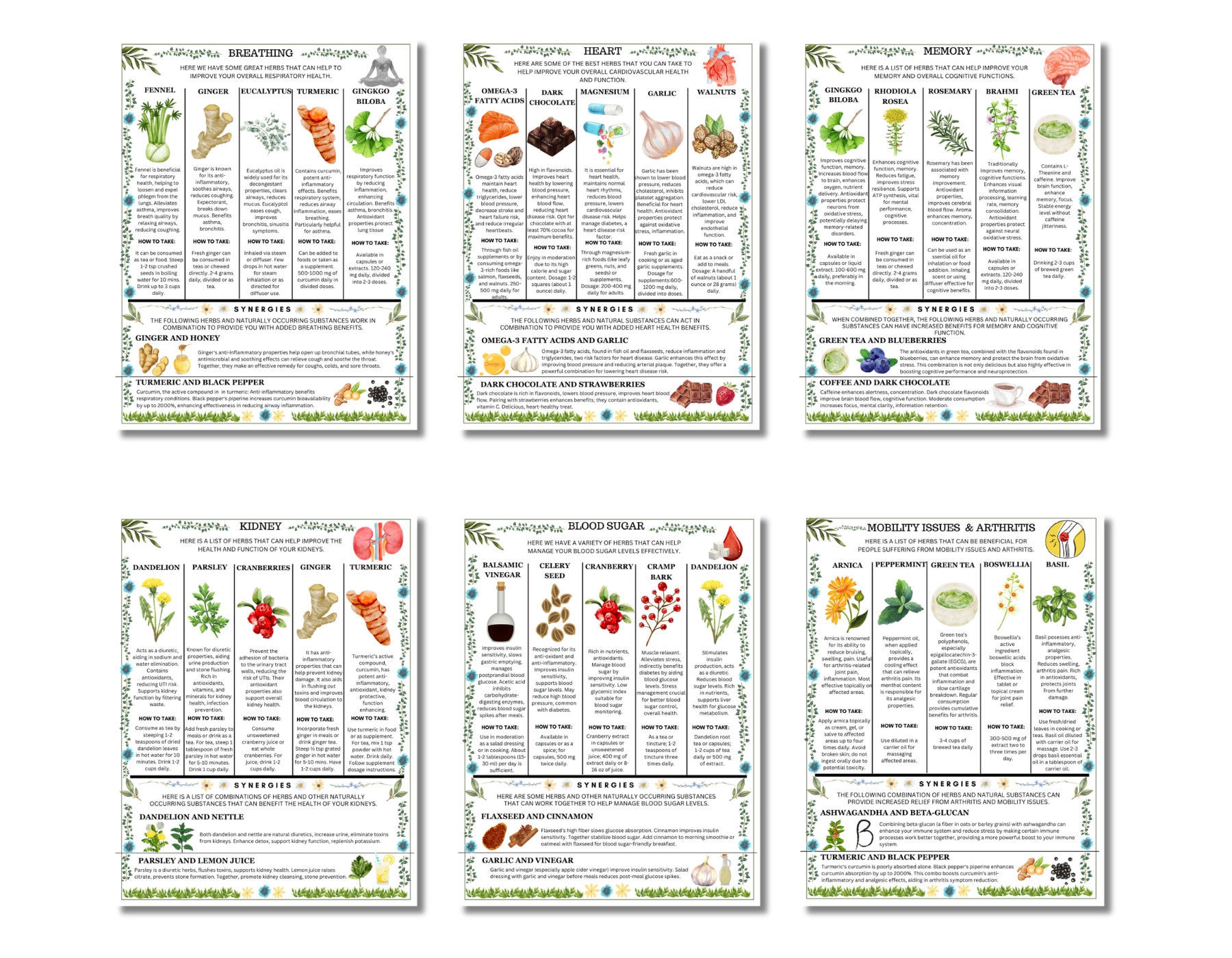 Recipe Card Set: Entire Collection With Special Savings! - Etsy