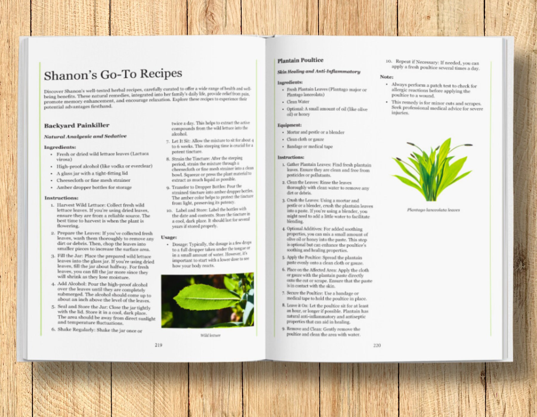 Ancient Remedies Revived by Shanon Greef - Etsy