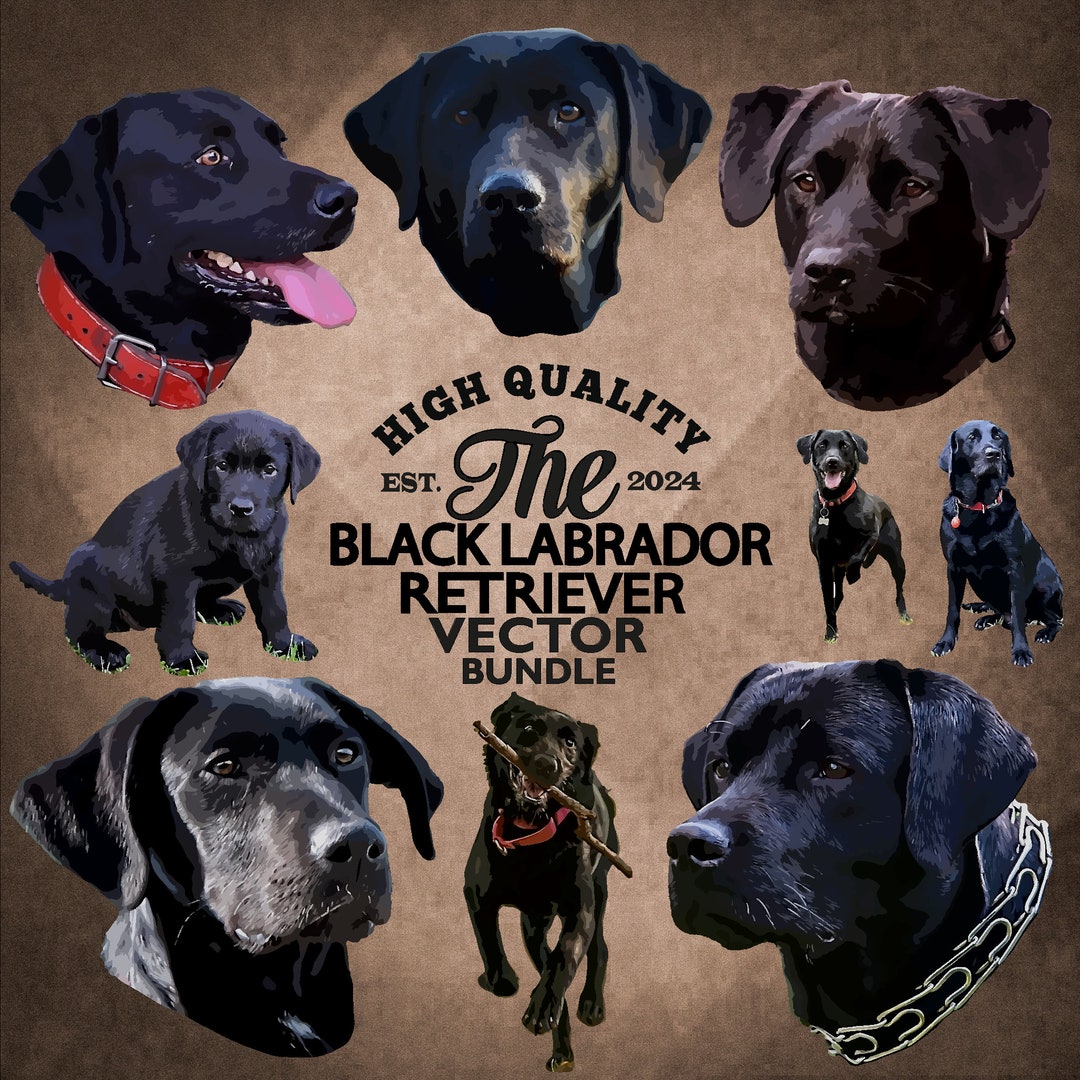 Black Labrador Retriever Dog Vector Bundle High Quality .EPS .SVG Files ...