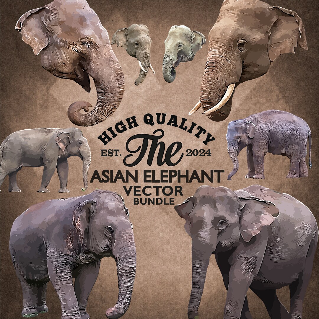 Asian Elephant Vector Bundle High Quality .EPS .SVG Files 7 Vector ...