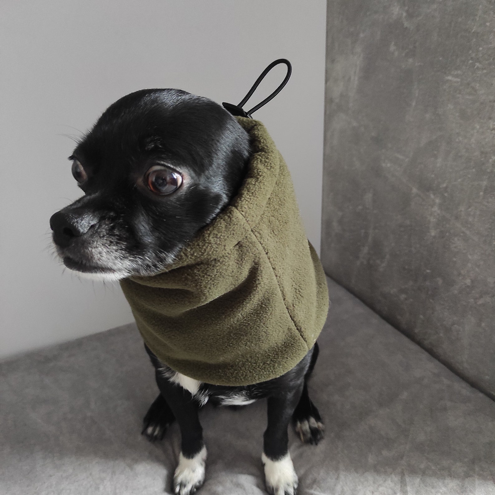Fleece Dog Snood, Fleece Dog Scarf, Custom Dog Gift, Accessory for Dog ...