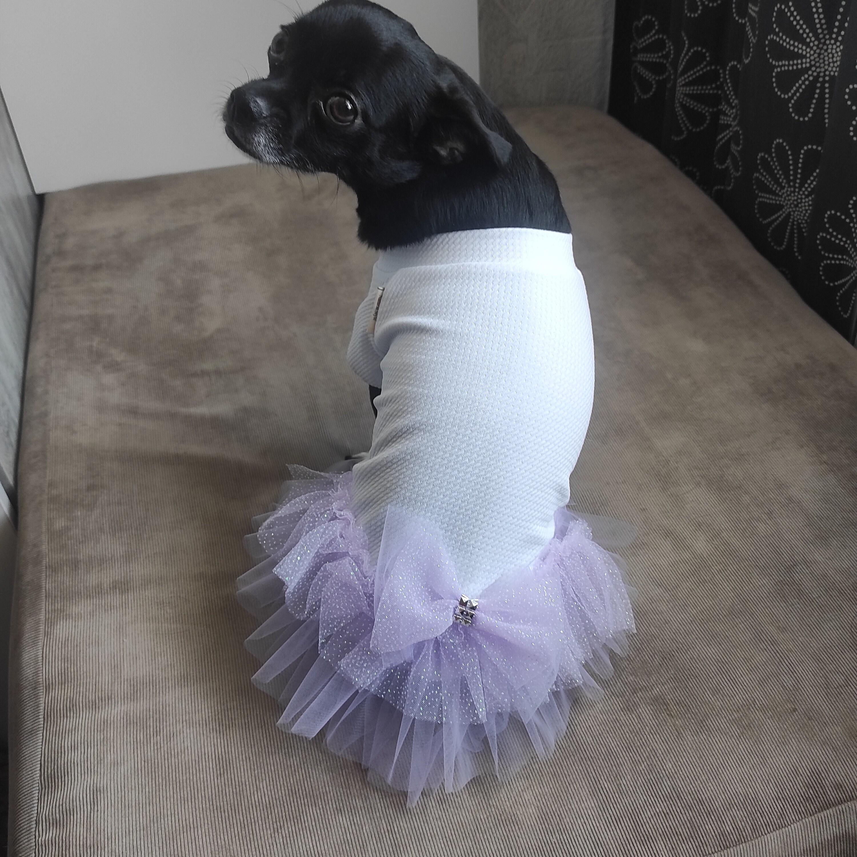 Dress for Dog, White Pet Shirt, Custom Dog Dress, Clothes for Dog and ...