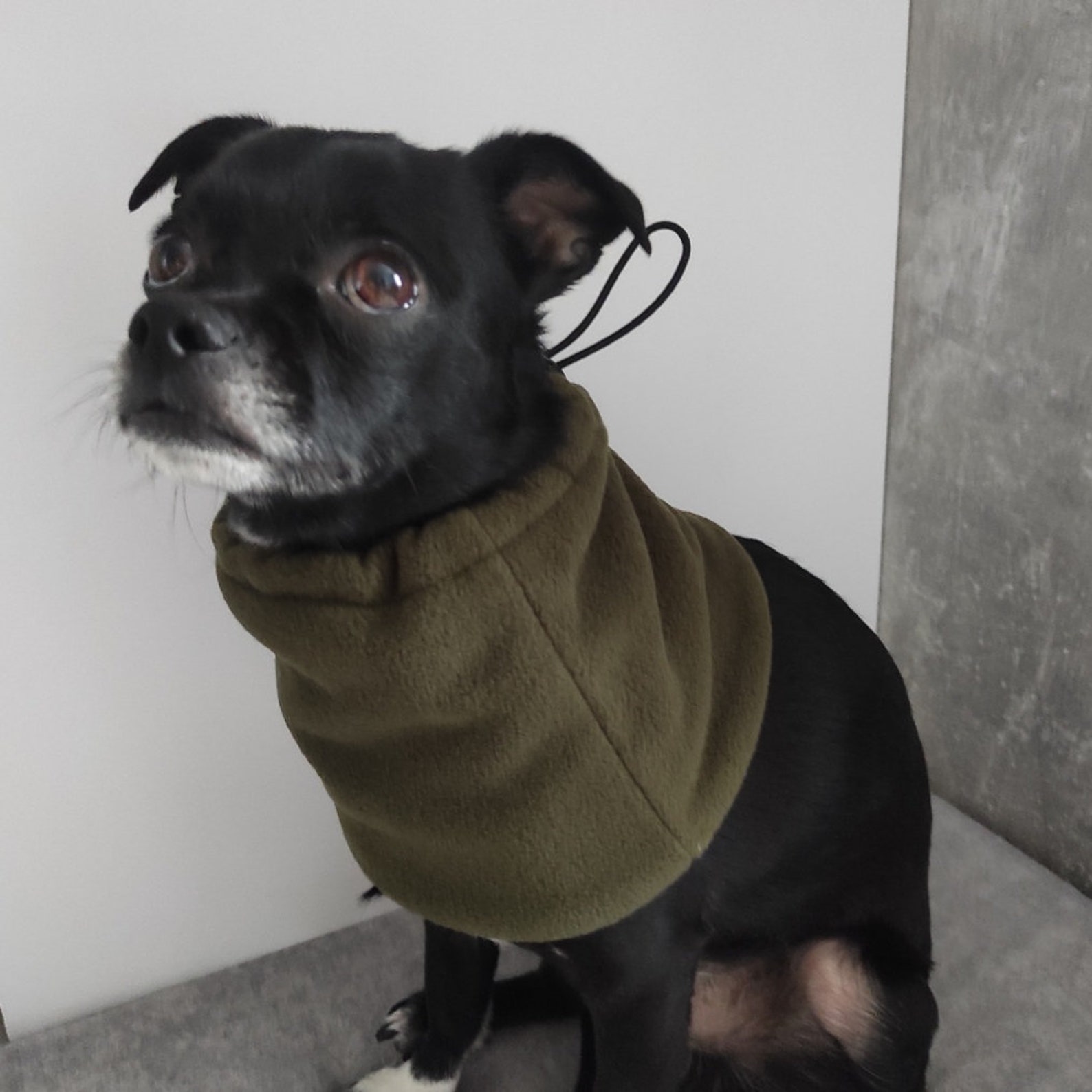 Fleece Dog Snood, Fleece Dog Scarf, Custom Dog Gift, Accessory for Dog ...