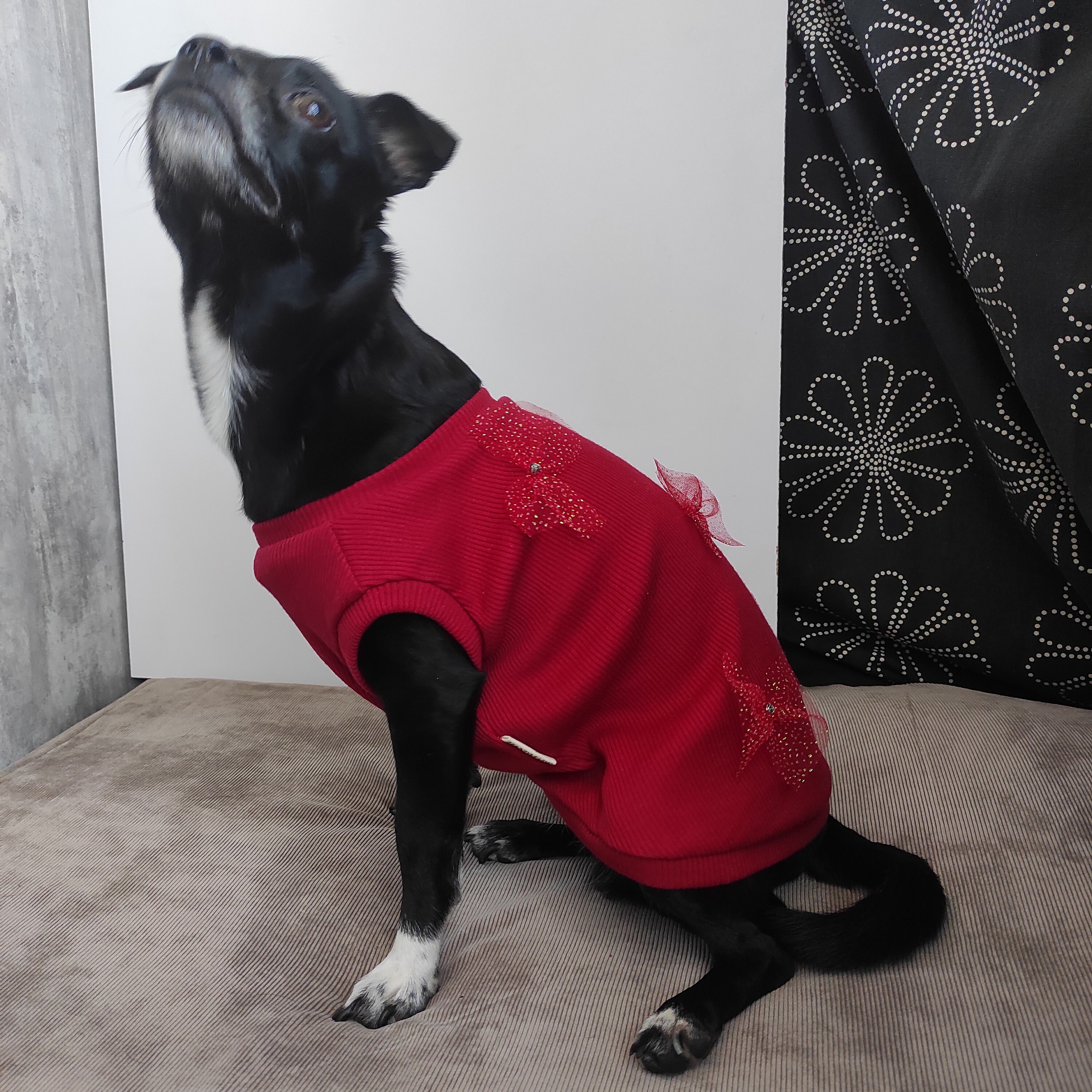 Cotton Tank Top for Dog, Red Cotton Pet Shirt With Bows, Custom Dog ...