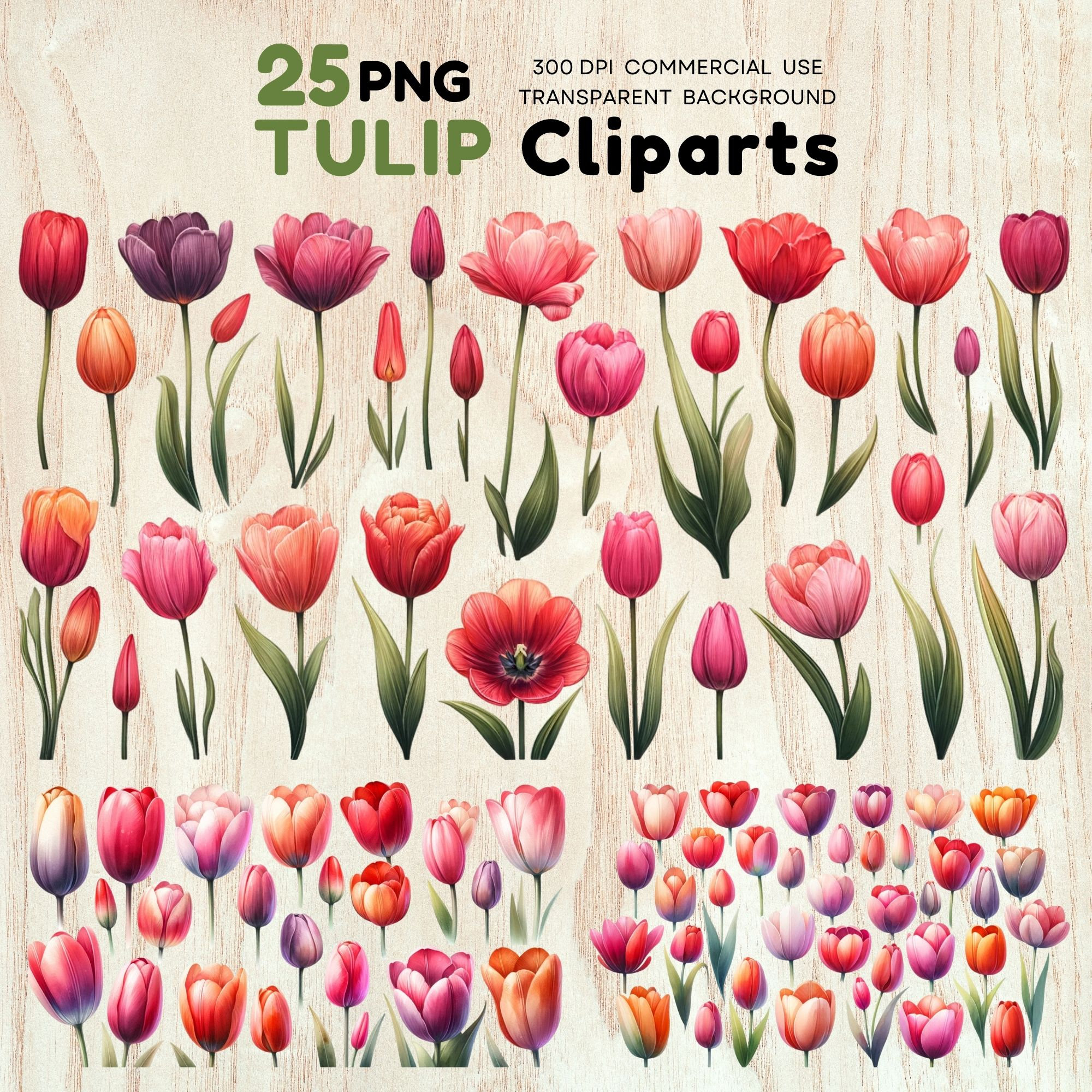 Watercolor Tulip Clipart - Tulip Clipart - Spring Clipart - Floral ...