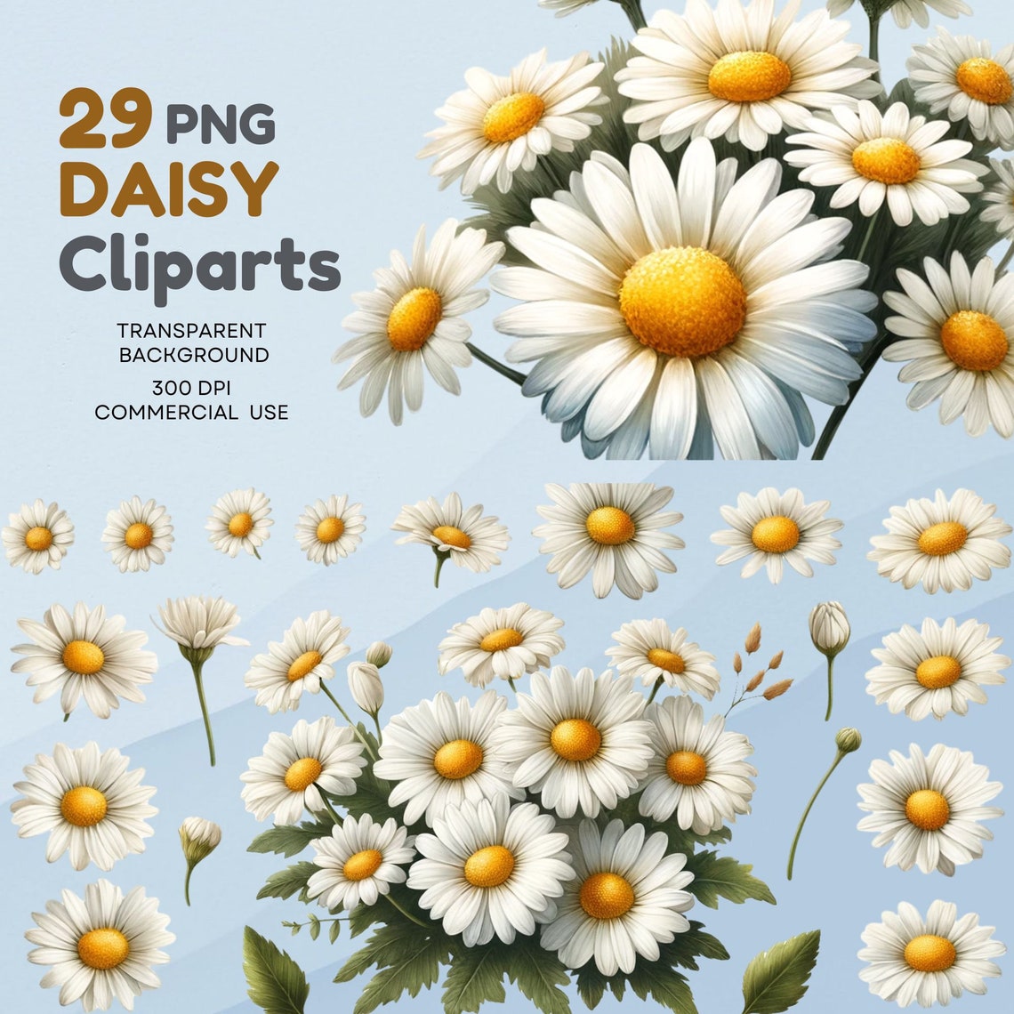 Daisy PNG, Watercolor Daisy Clipart Bundle, Spring Floral PNG, Flower ...