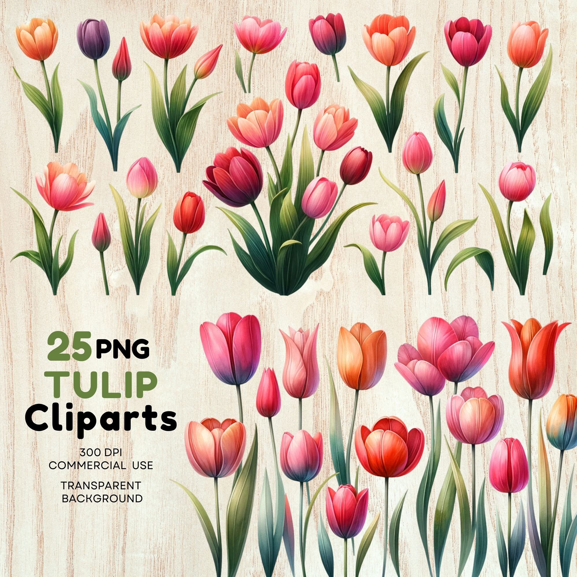 Watercolor Tulip Clipart - Tulip Clipart - Spring Clipart - Floral ...