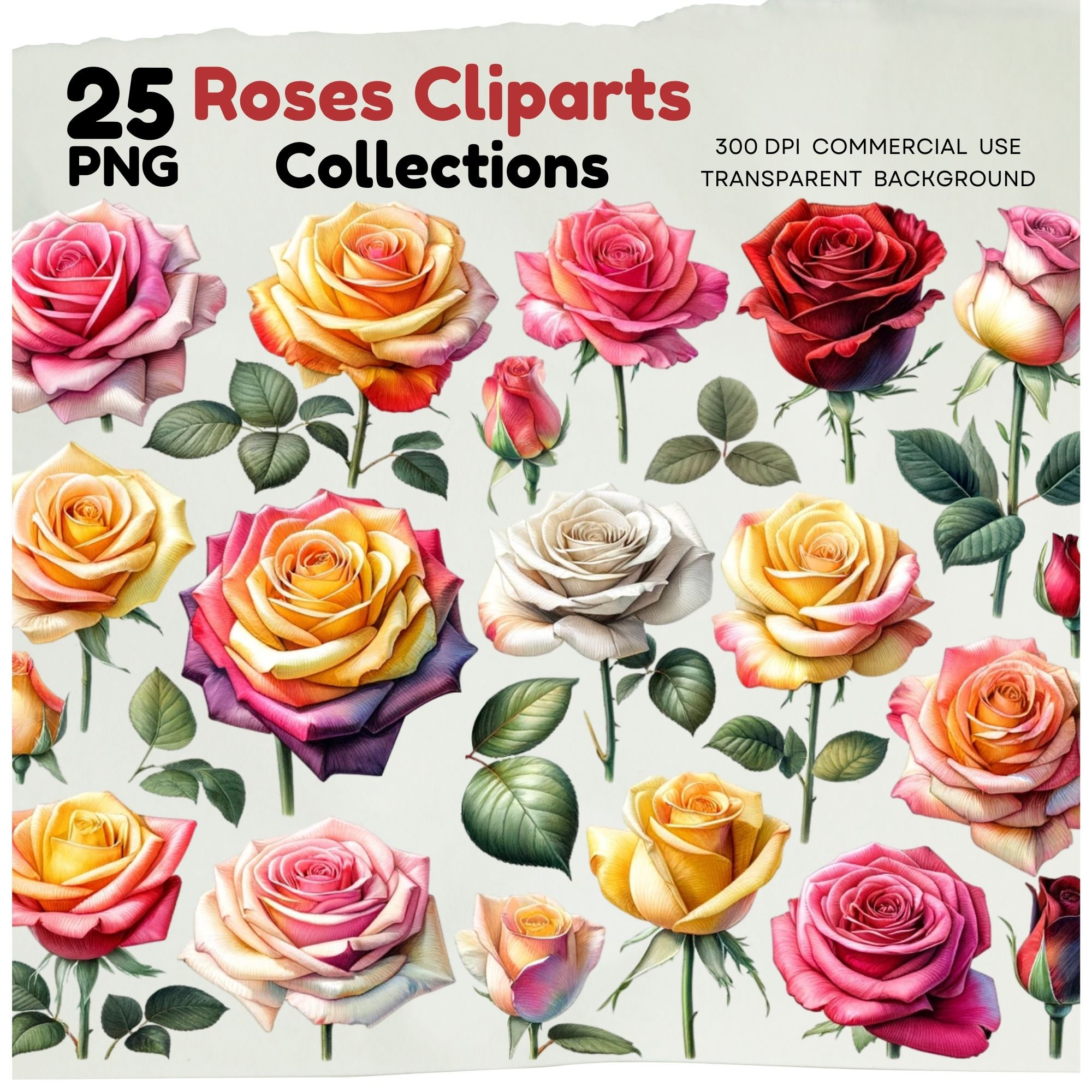 Watercolor Roses Clipart, Roses and Leaves, Floral, Instant Download ...