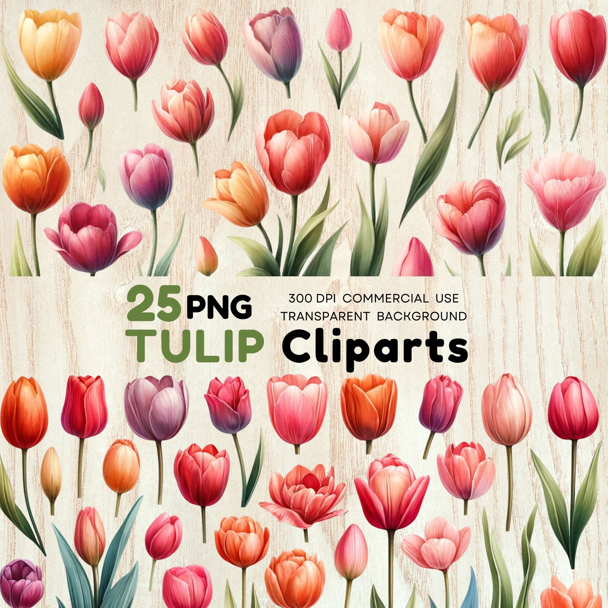 Watercolor Tulip Clipart - Tulip Clipart - Spring Clipart - Floral ...