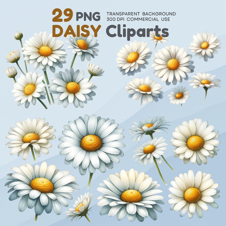 Daisy PNG, Watercolor Daisy Clipart Bundle, Spring Floral PNG, Flower ...