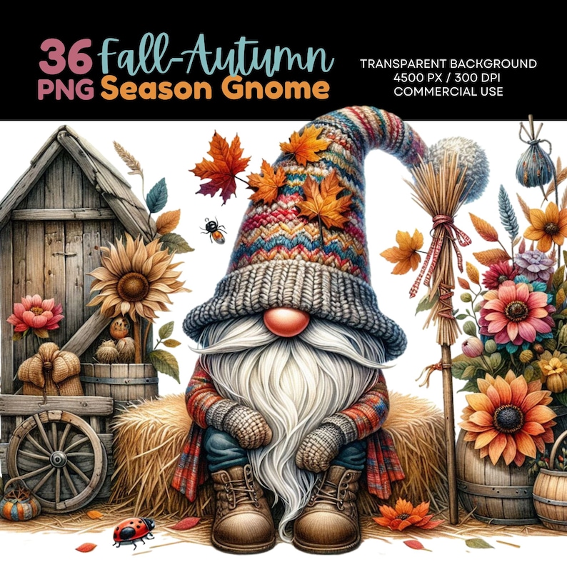 Fall Gnome Clipart: Autumn PNG Bundle (36 Files) - Etsy