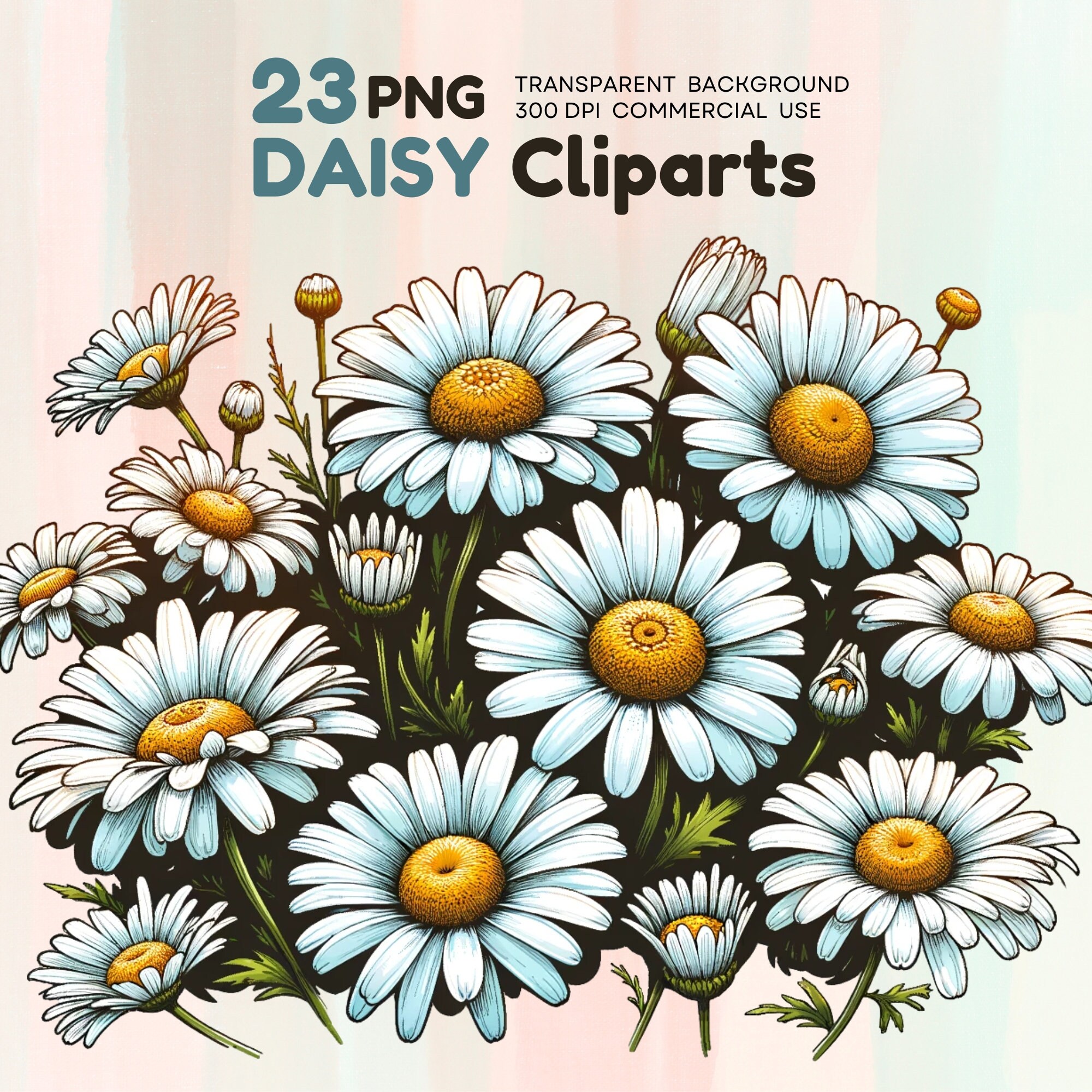 Daisy PNG, Watercolor Daisy Clipart Bundle, Spring Floral PNG, Flower ...