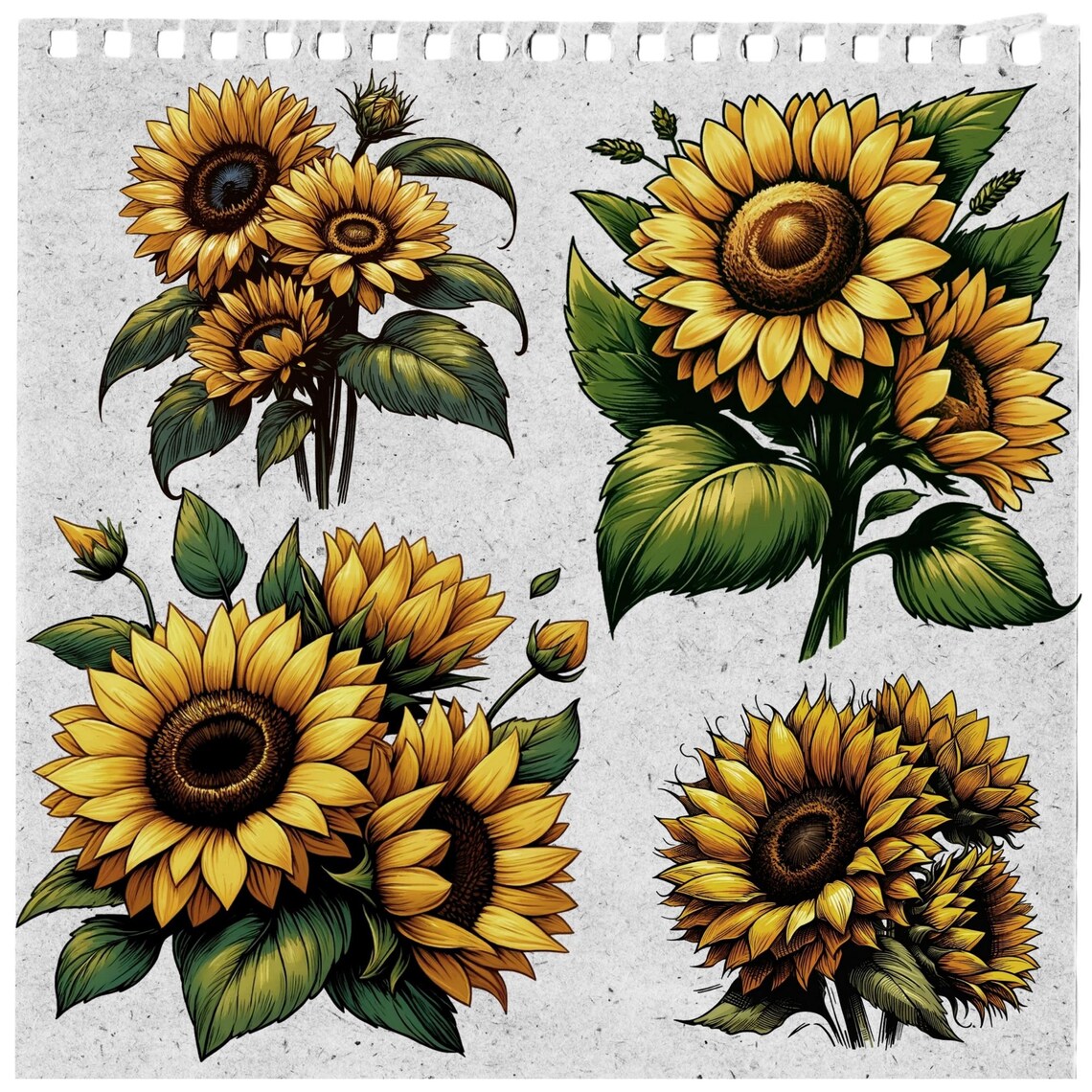 Sunflowers Clipart - Watercolor Sunflowers - Sunflower Wreath Clipart ...