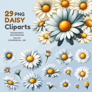 Daisy PNG, Watercolor Daisy Clipart Bundle, Spring Floral PNG, Flower ...