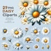 Daisy PNG, Watercolor Daisy Clipart Bundle, Spring Floral PNG, Flower ...