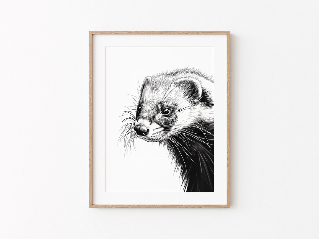 PRINTABLE Ferret Poster, Digital Ferret Print, Minimalist Sketch Style ...