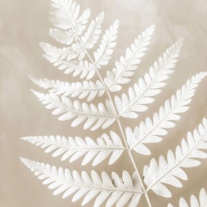 White Fern Wall Art, Rustic Home Decor, Plant Print, Photorealistic ...