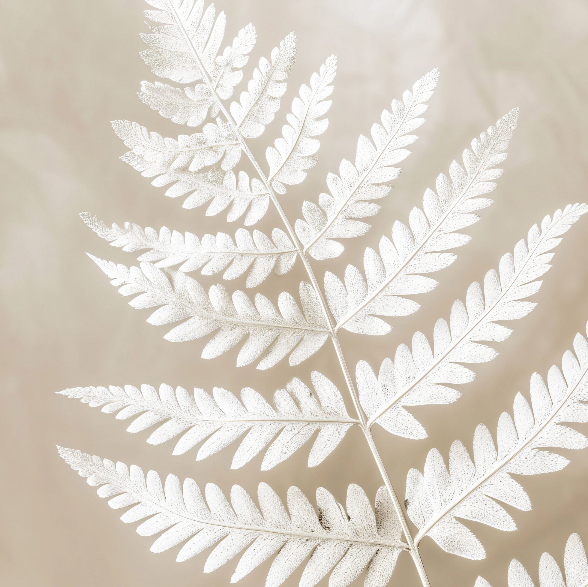 White Fern Wall Art, Rustic Home Decor, Plant Print, Photorealistic ...