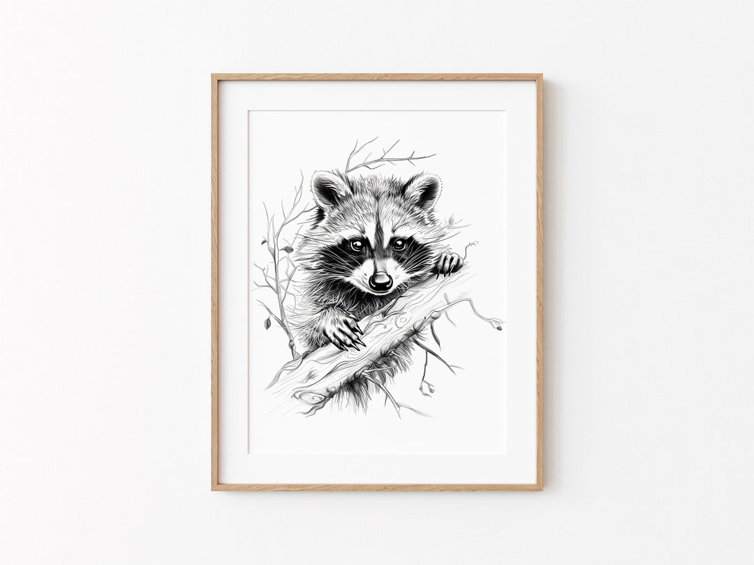 PRINTABLE Raccoon Poster, Digital Coon Print, Minimalist Sketch Style ...