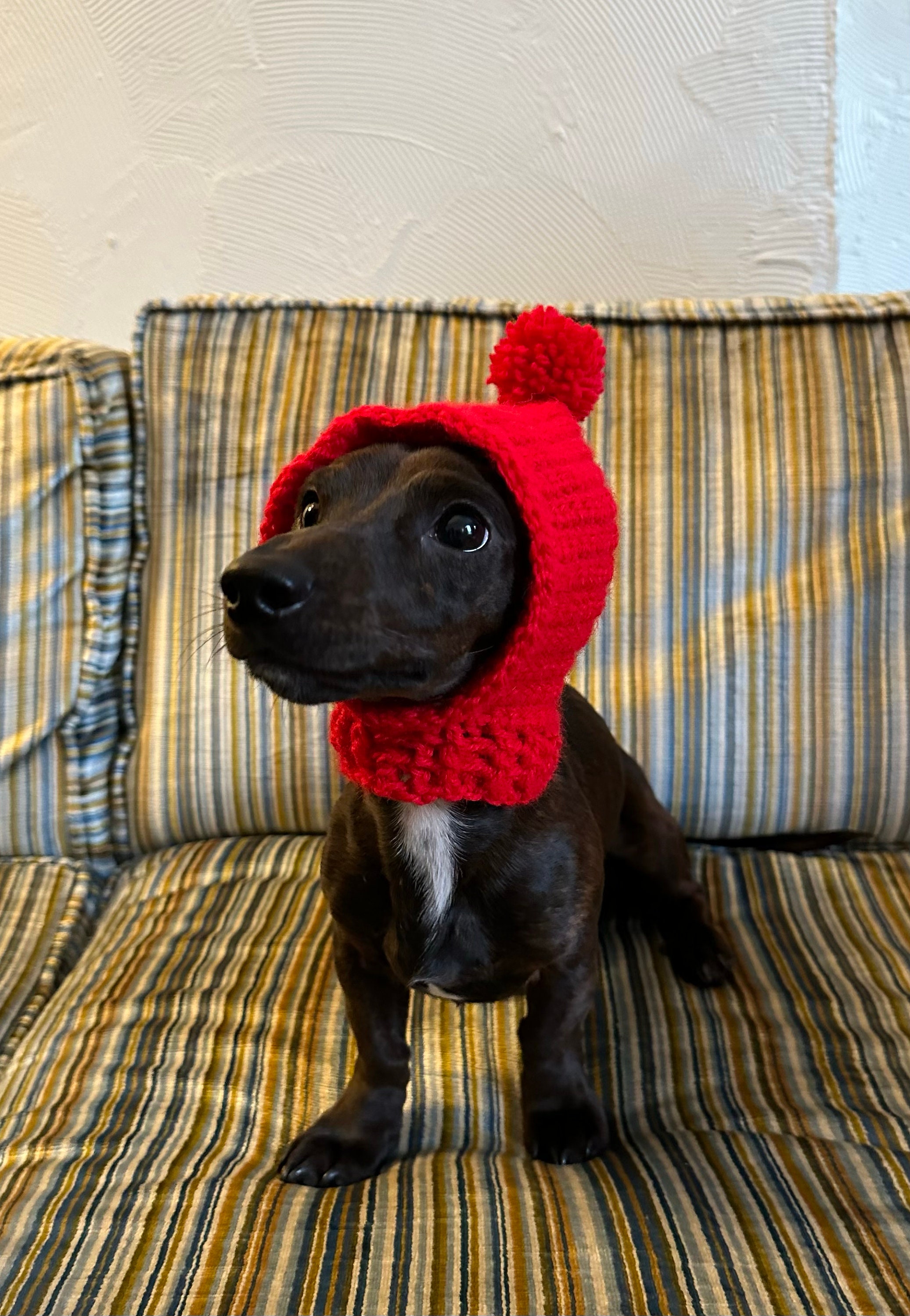 Crochet Dog Hood Pattern - Etsy