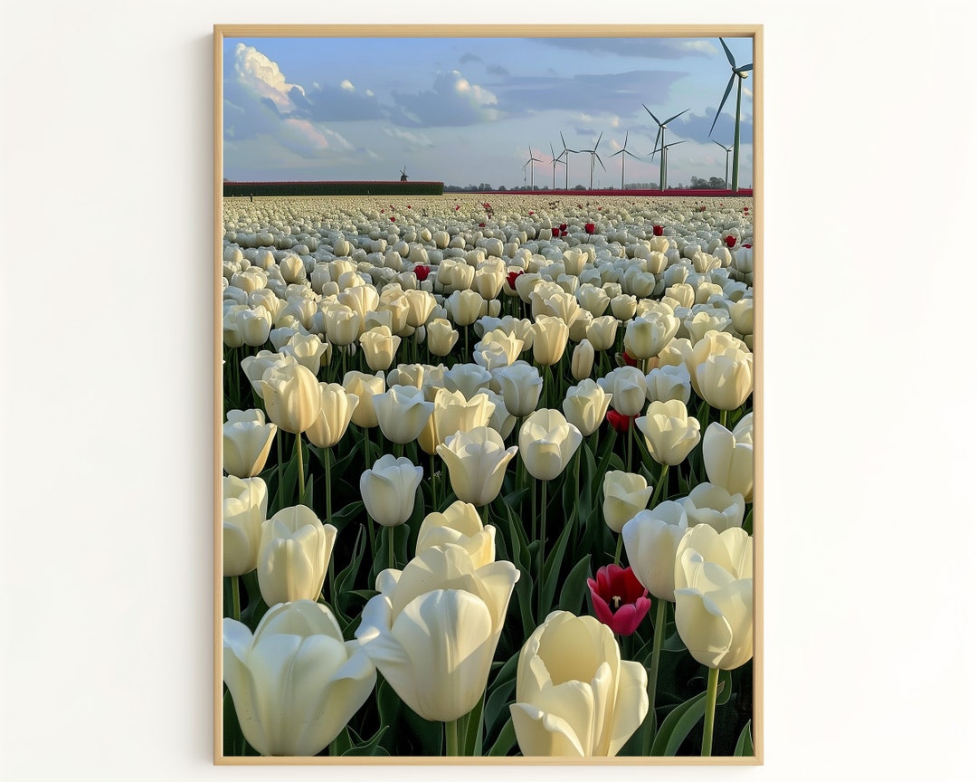 Wind Turbine Print, Serene Field of White Tulips With Wind Turbines ...