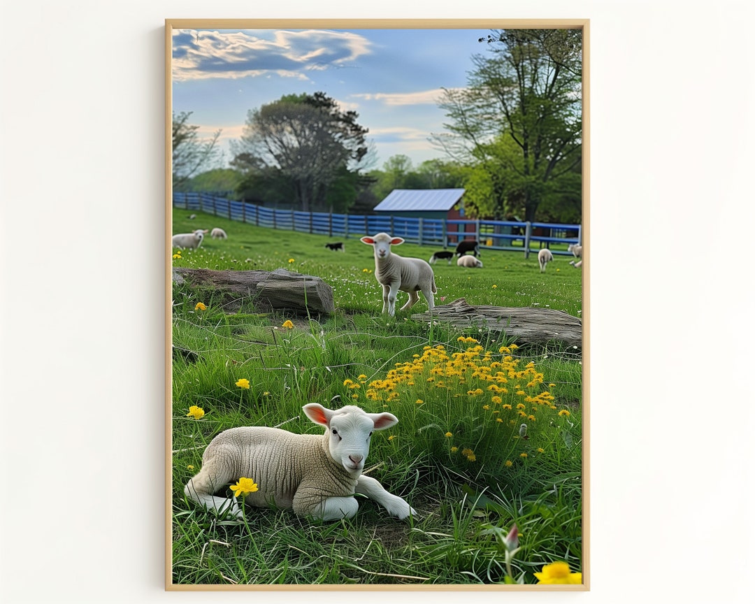 Spring Meadow Art Print Charming Lambs in Yellow Wildflowers, Country ...