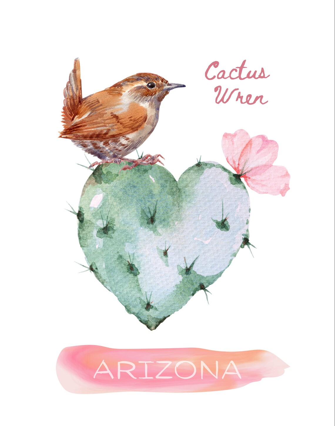11”x14” Digital Download Arizona State Bird Cactus Wren - Desert Gift ...