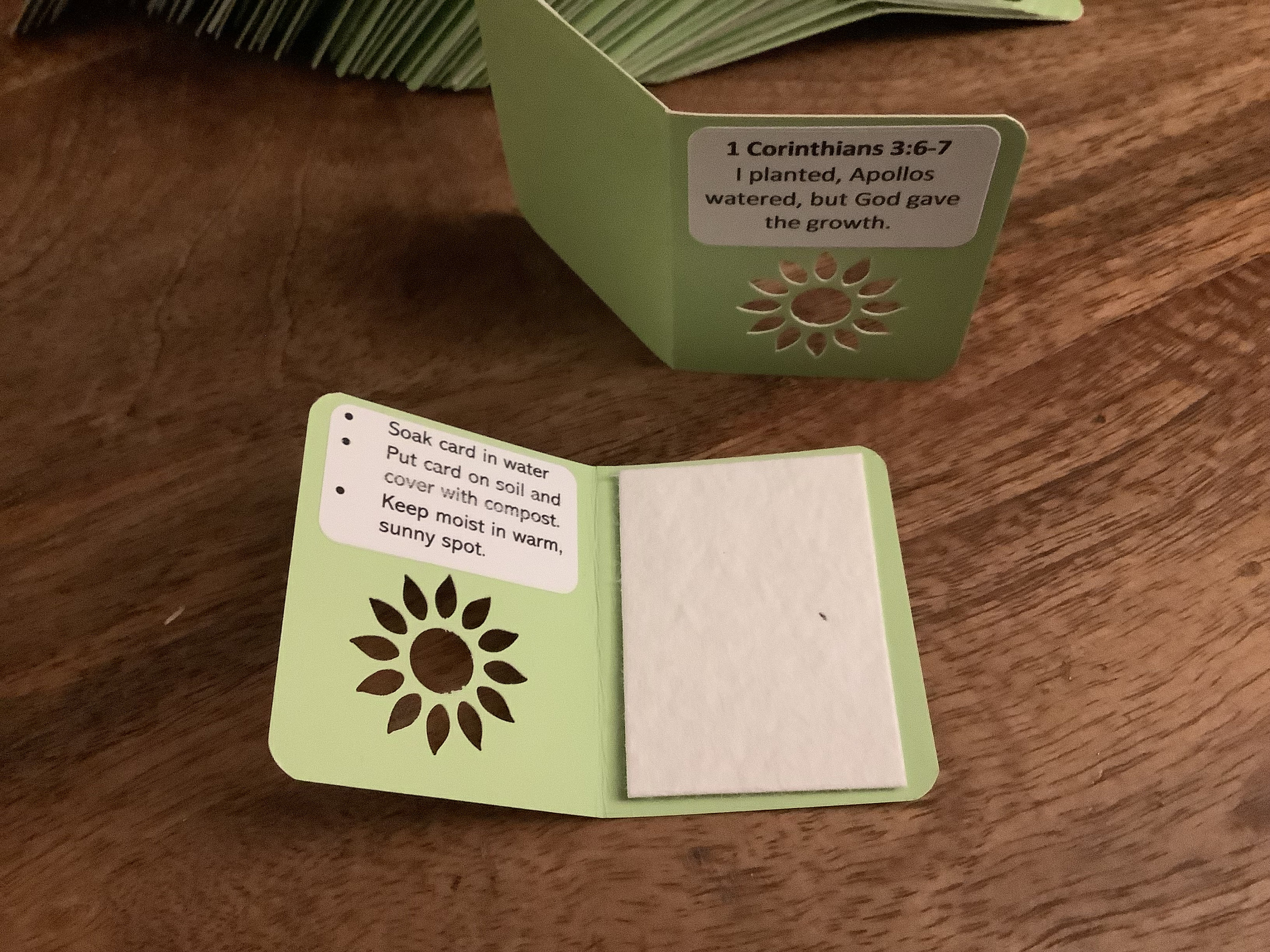 12 Growing and Sowing Bible Verse Reminder Cards - Etsy