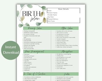 Editable Birth Plan Template Birth Preferences Printable Birth Plan ...