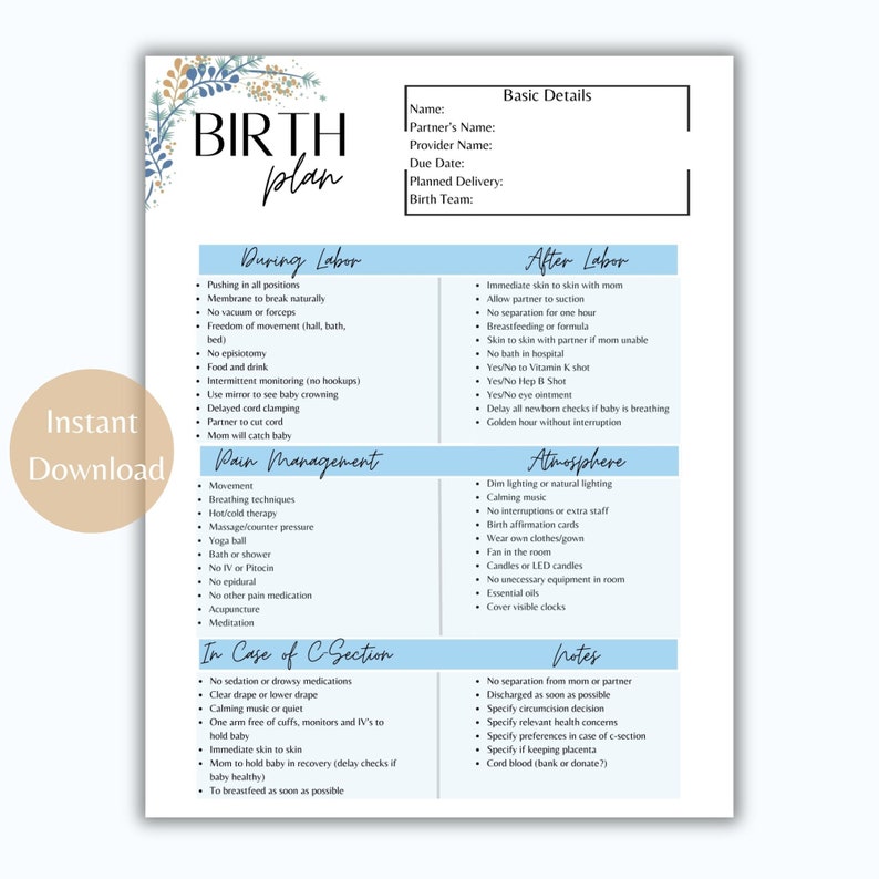 Editable Birth Plan Template | Birth Preferences | Printable Birth Plan ...