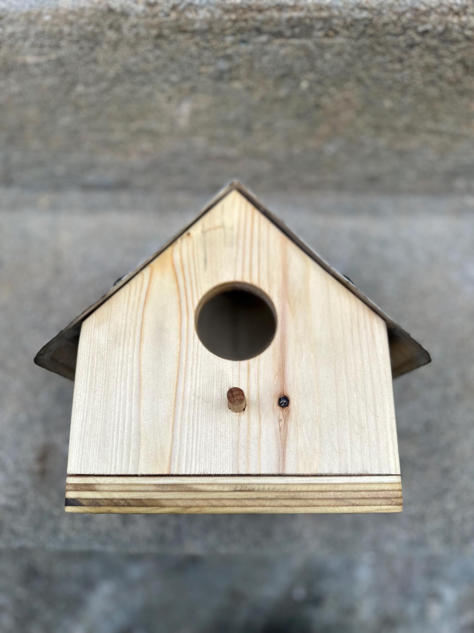 Hanging License Plate Birdhouse - Etsy