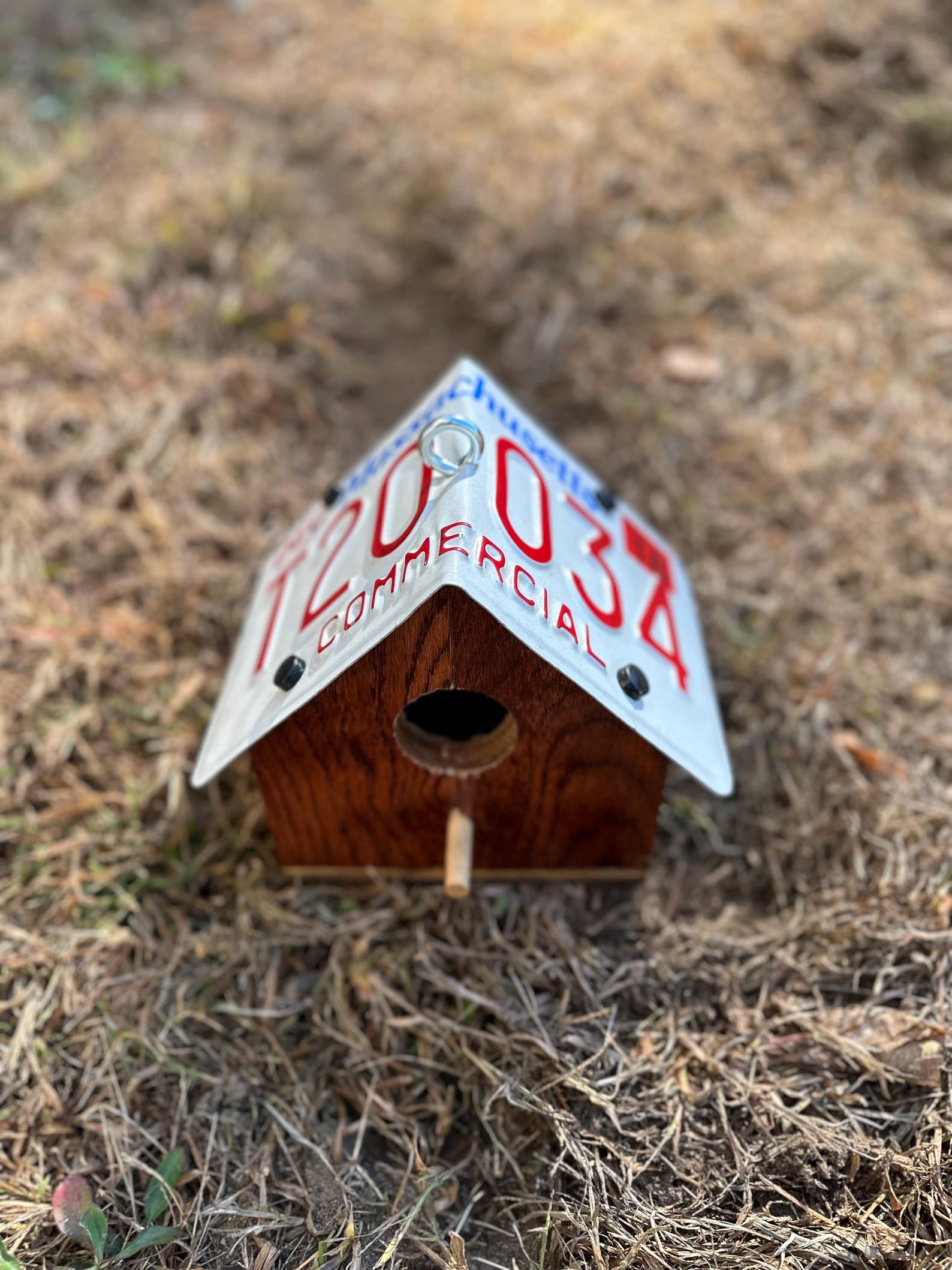 Hanging License Plate Birdhouse - Etsy