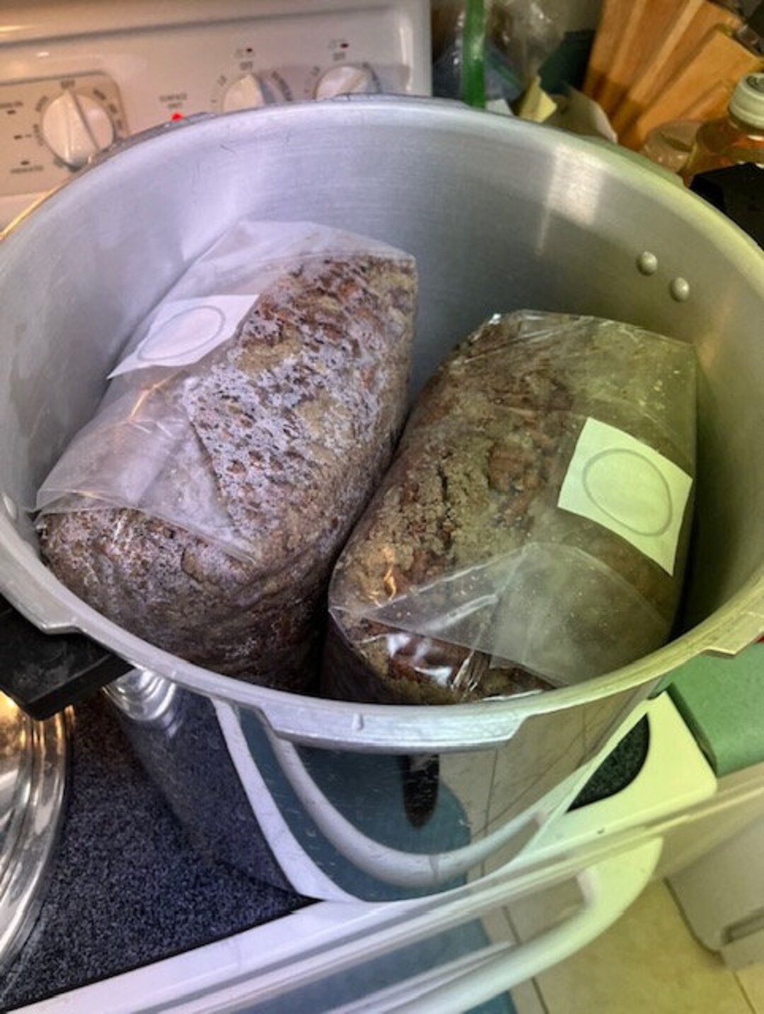 Organic Masters Mix Mushroom Substrate Blocks - Etsy