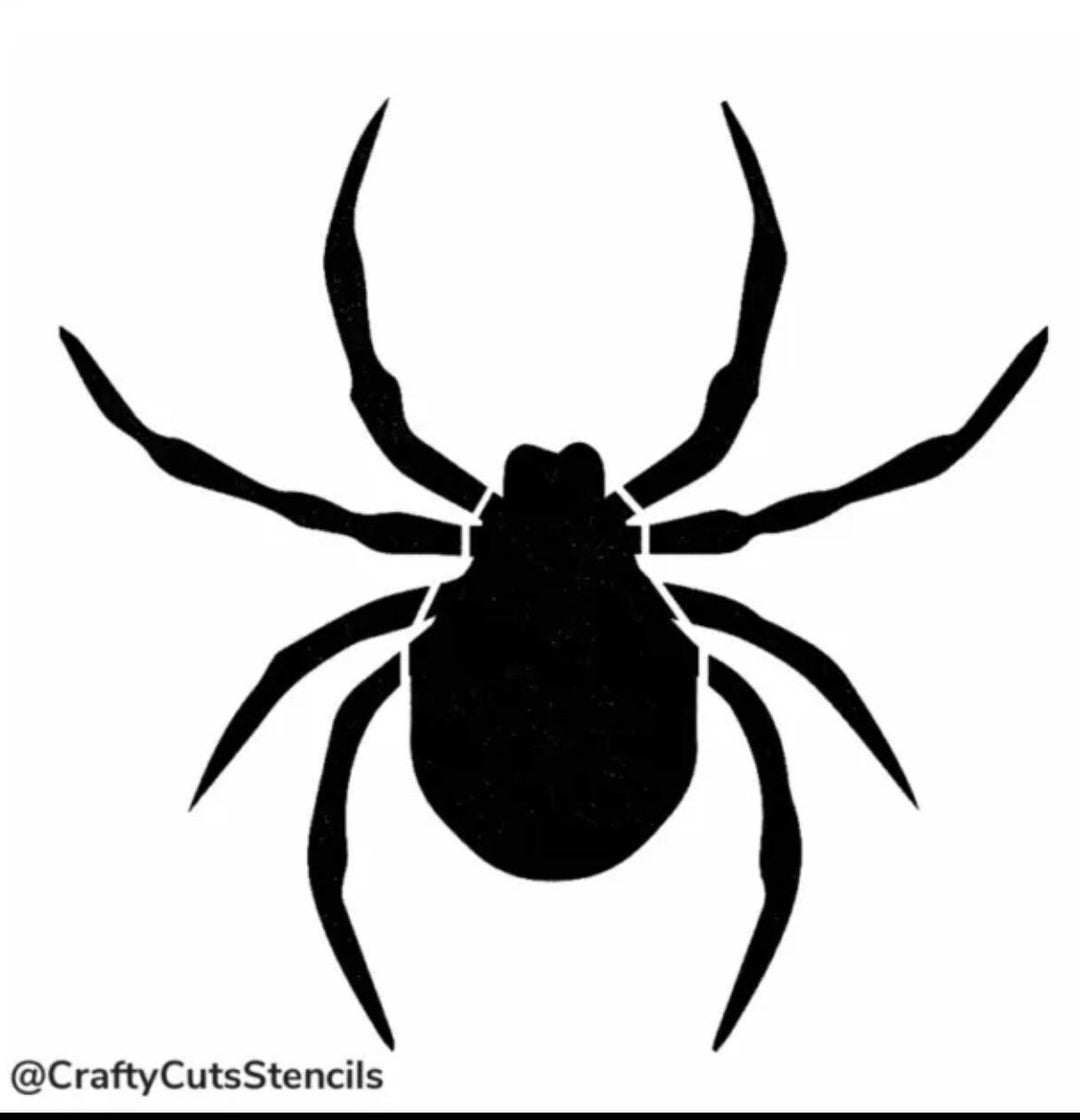 Spider Stencil Durable & Reusable 6x6 Inch Free Shipping - Etsy