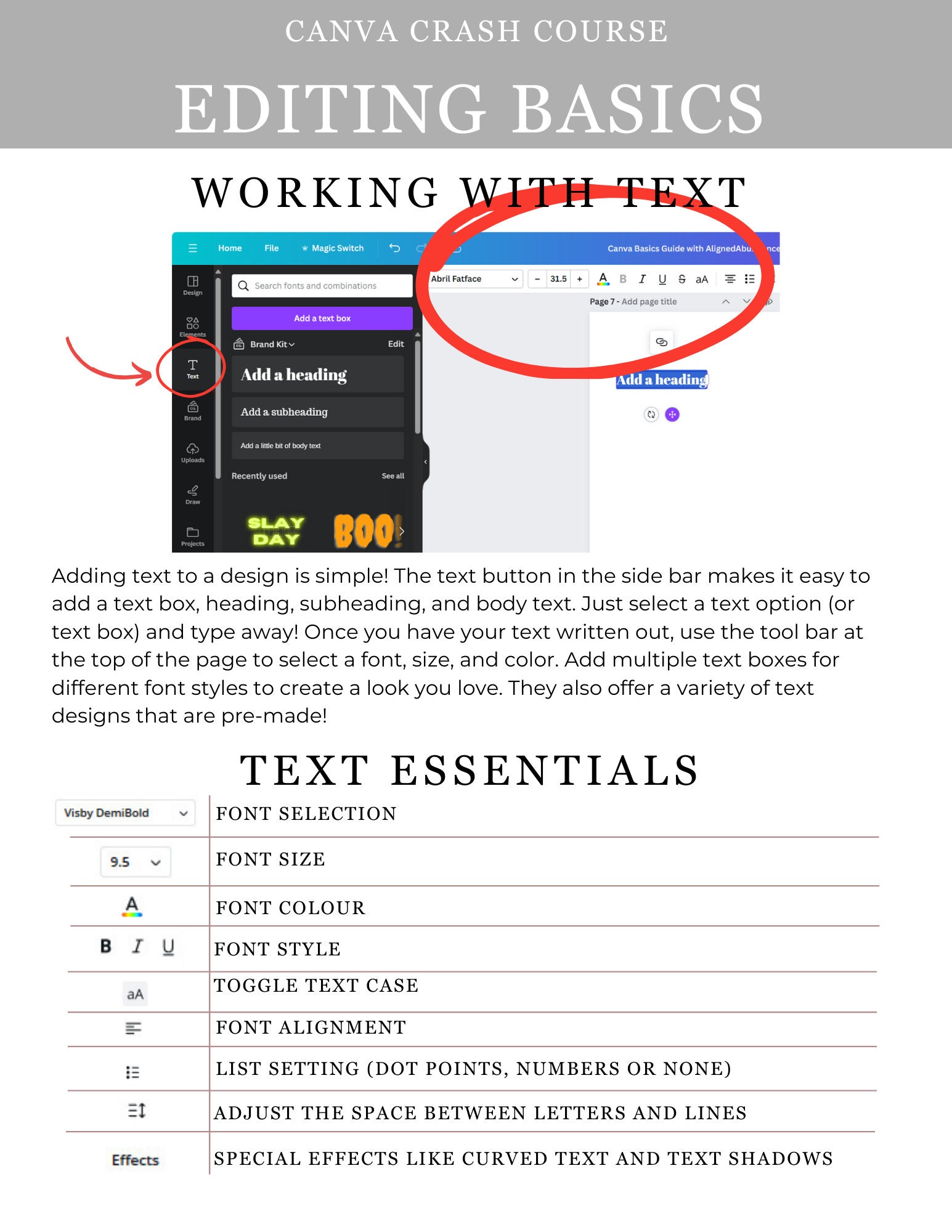 Canva Crash Course + Master Resell Rights MRR and Private Label Rights ...