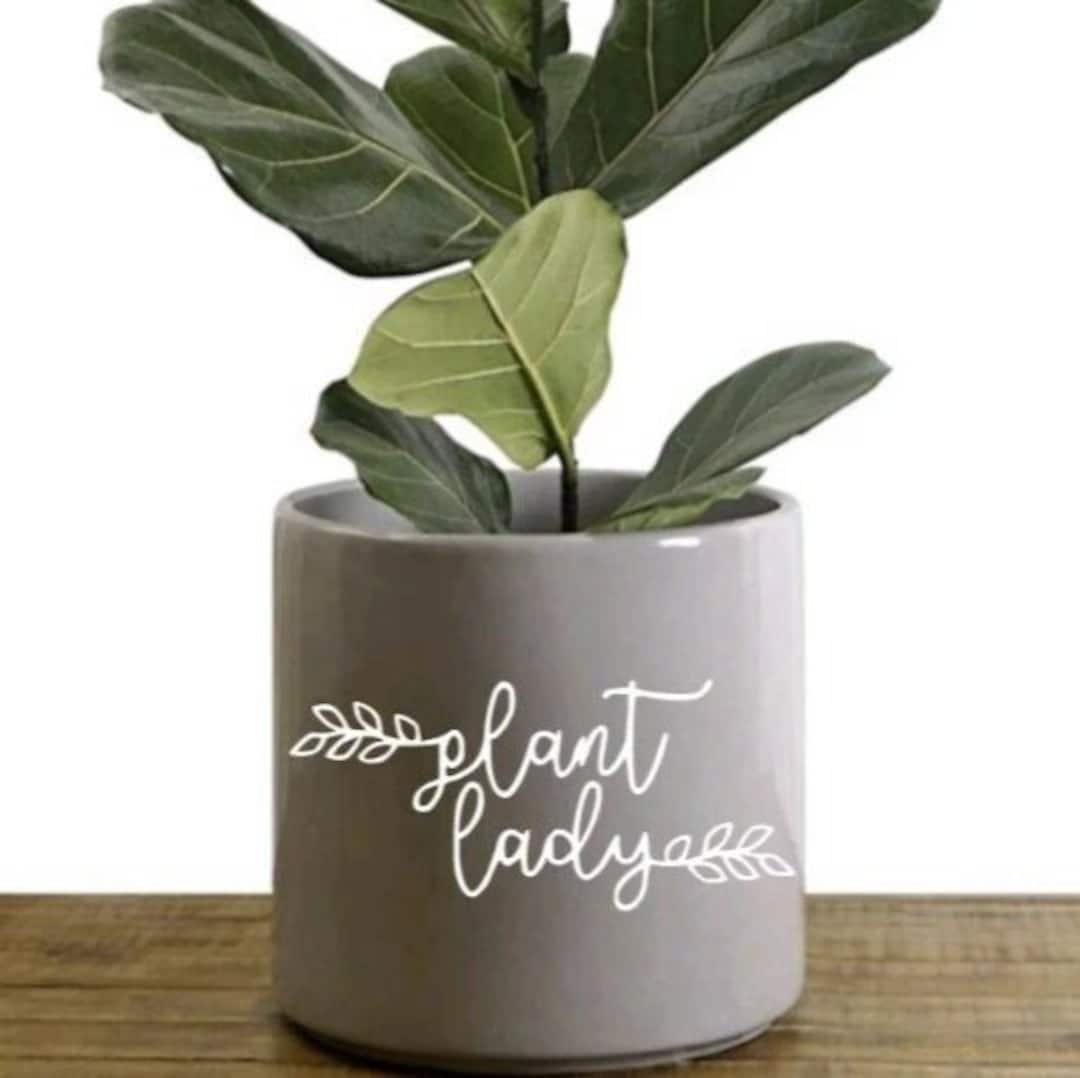 Plant Lady Planter Decal, Cute Decals, Plant Gifts, Flower Pot, Plant ...
