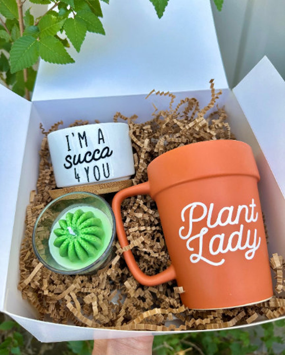 Succa for You Plant Lady Gift Box Set, Valentines Day, Birthday, Plant ...