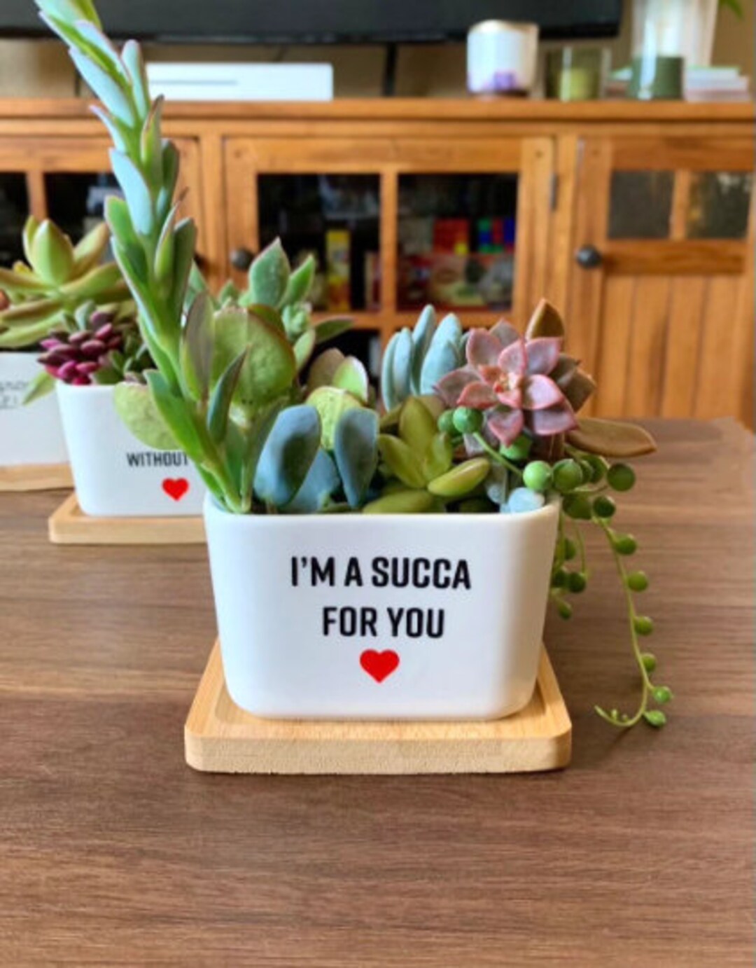 Im a Succa for You Planter, Succulent Planters, Plant Lady, Flower Pots ...