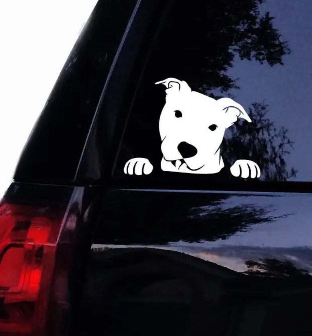 Window Decal of Pitbull Dog Peek-a-boo - White 27-364 - Etsy