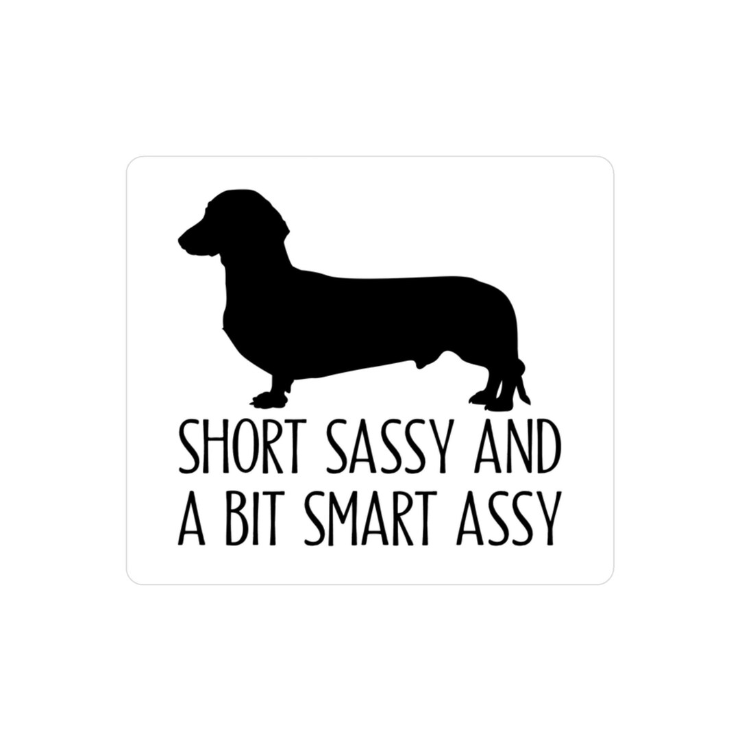 Funny Dachshund Dog Vinyl Decal "short, Sassy and a Bit Smart Assy" - Etsy