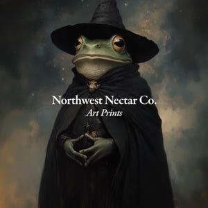 Wise Wizard Frog Print | Cute Amphibian Art | Magical Illustration ...