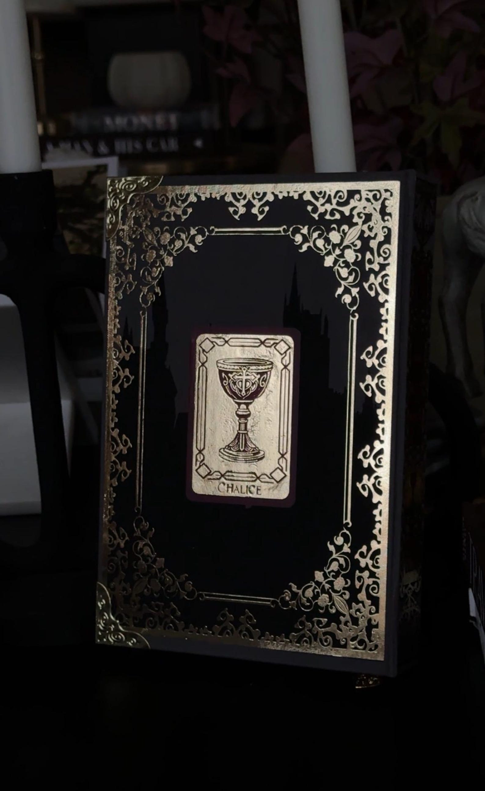 The Shepherd King Duology | One Dark Window & Two Twisted Crowns ...
