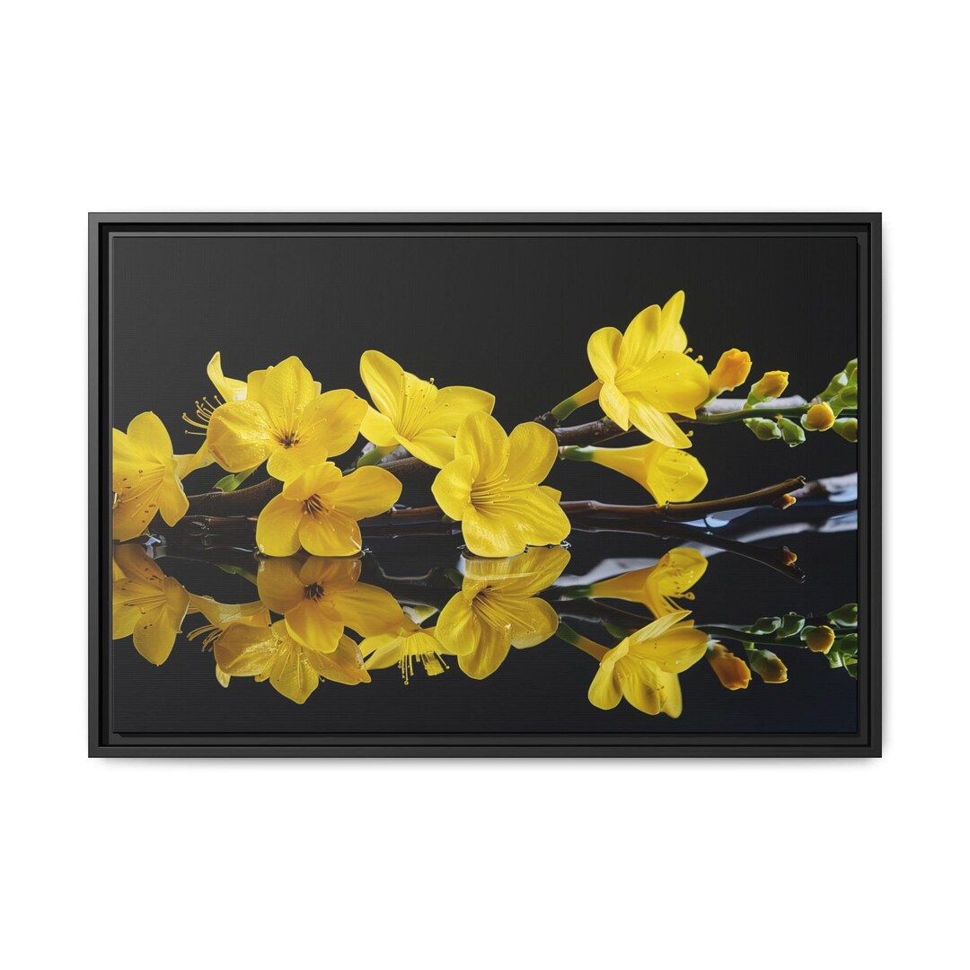 Kerria (japanese Rose) Flowers on a Black Background Wall Art Design ...