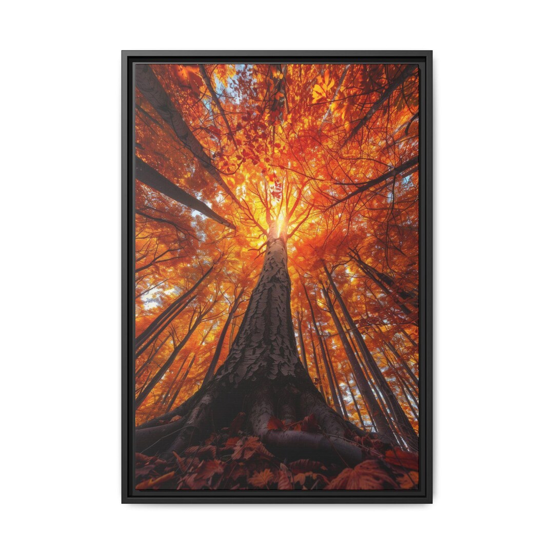 Tall Tree in Autumn Forest Branches Forming Symmetrical Pattern Wall ...