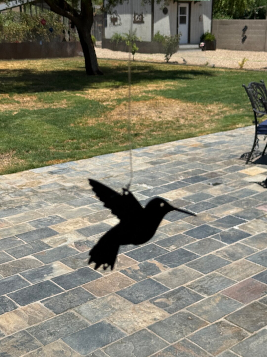 Hanging Hummingbirds - Etsy