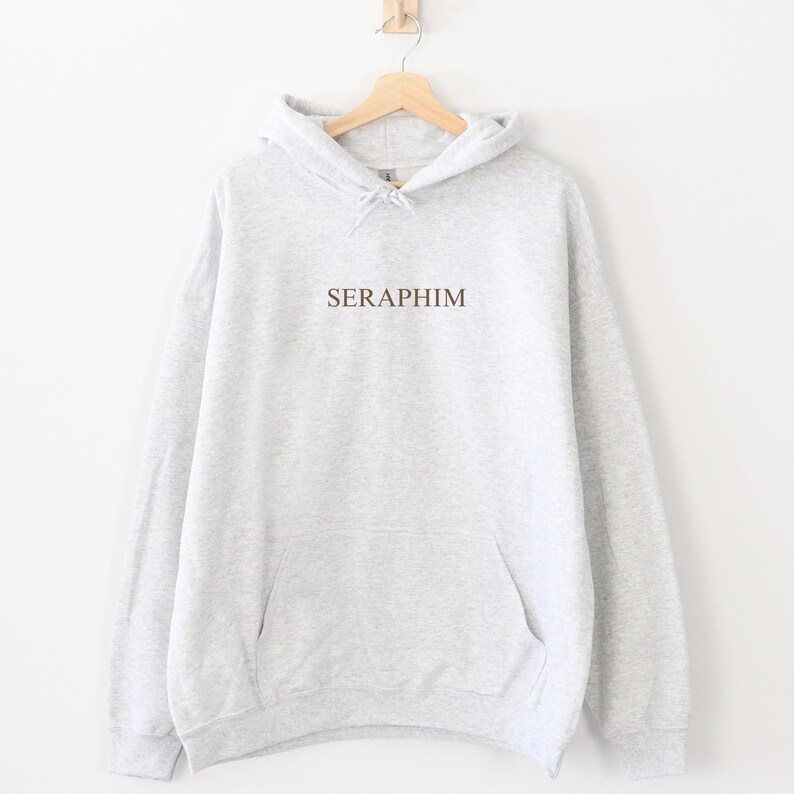 Vintage Seraphim Angel Unisex Hoodie, Godly Sweatshirt, Oversized ...