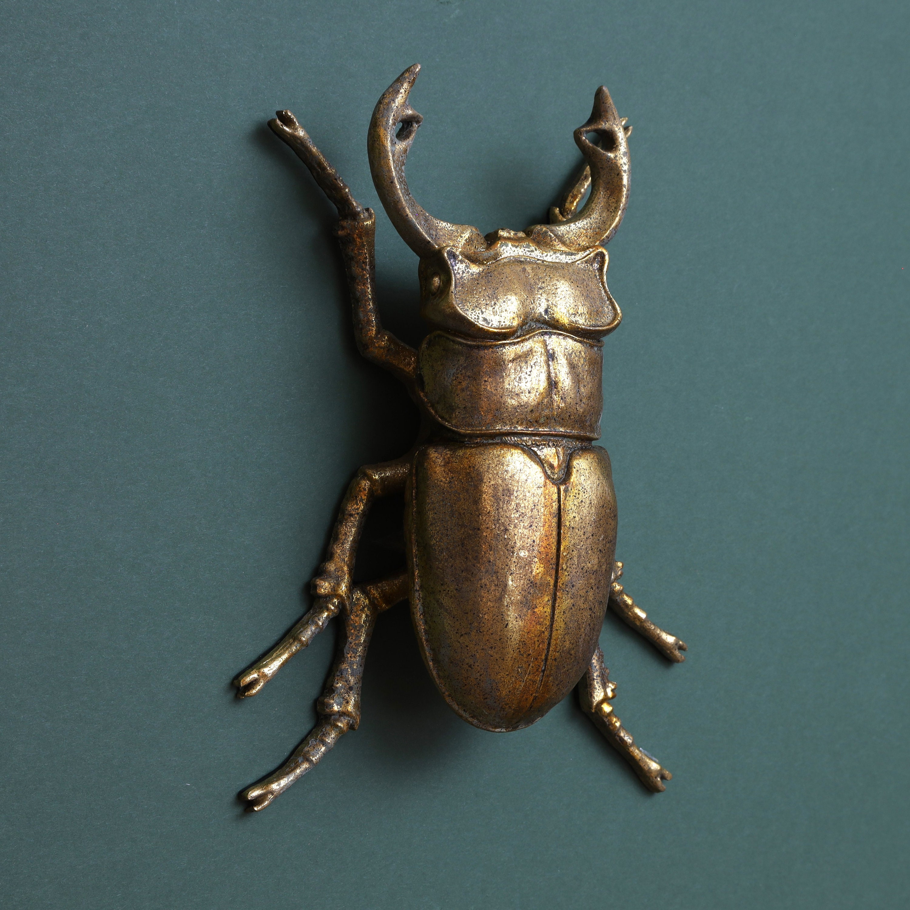15cm Small Stag Beetle Wall Art Wall Hanging Bug Insects Ornament Wall ...